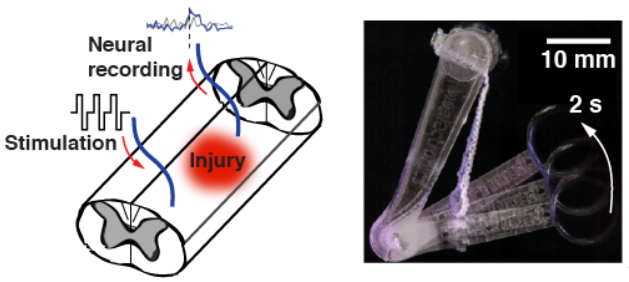 Fiber-based Devices | Biolelectronics at MIT